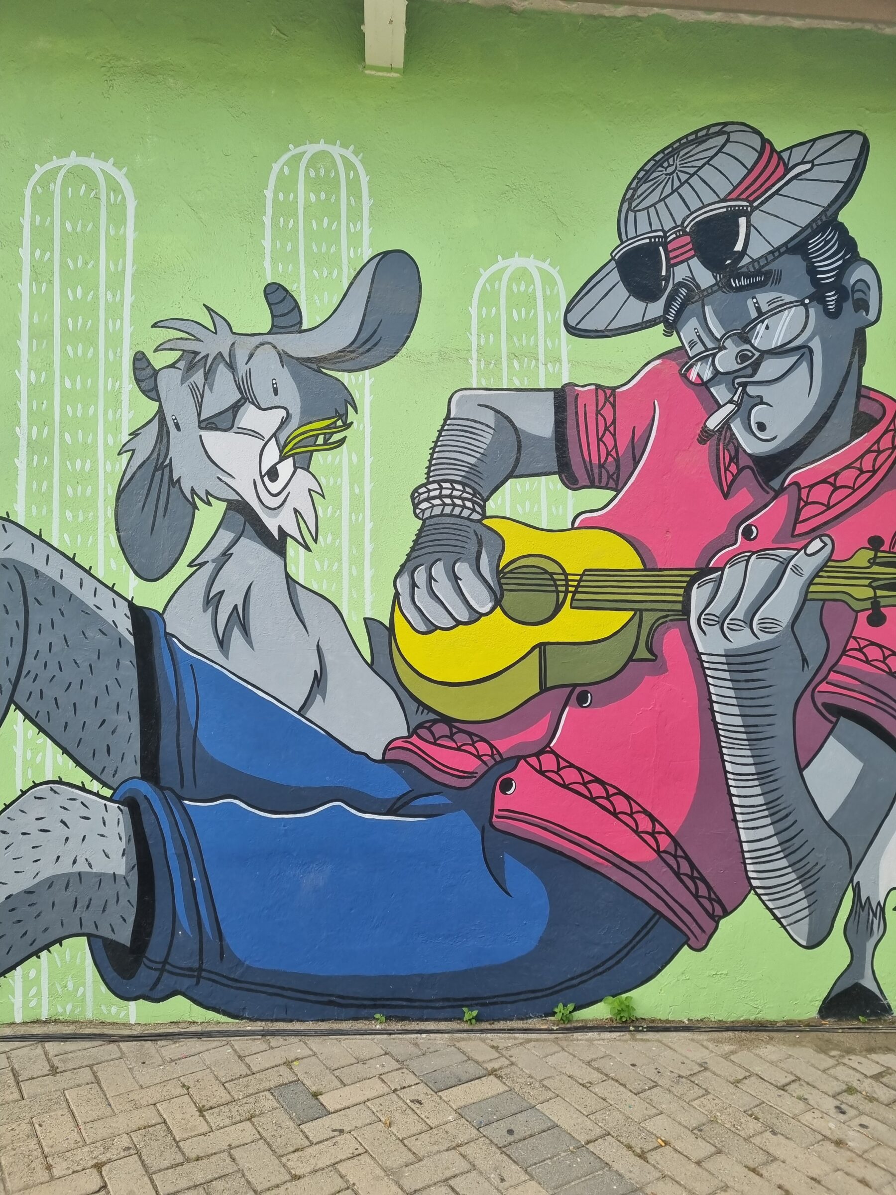 Wakacje Bonaire | 7x fajne miejsca do odwiedzenia | Wereldreizigers.nl